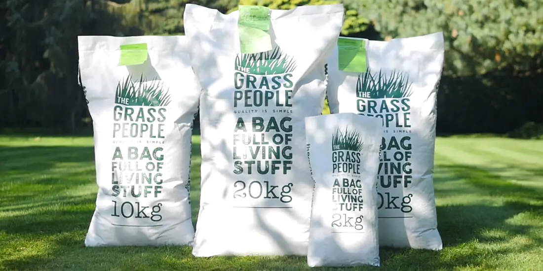 Best Types Of Grass Seed Looking For The Name Of This Grass And It's