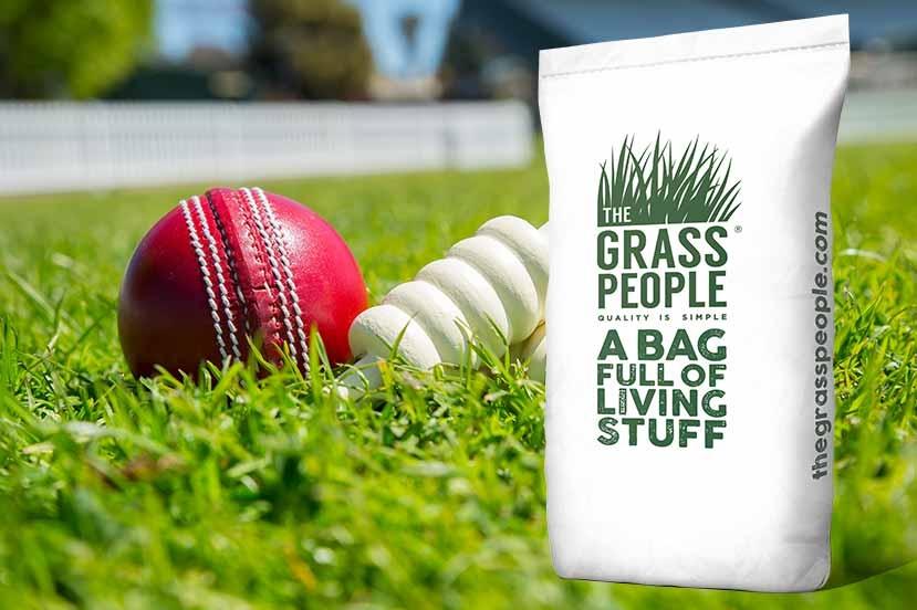 PERFORM: Cricket Squares & Wickets Seed| The Grass People
